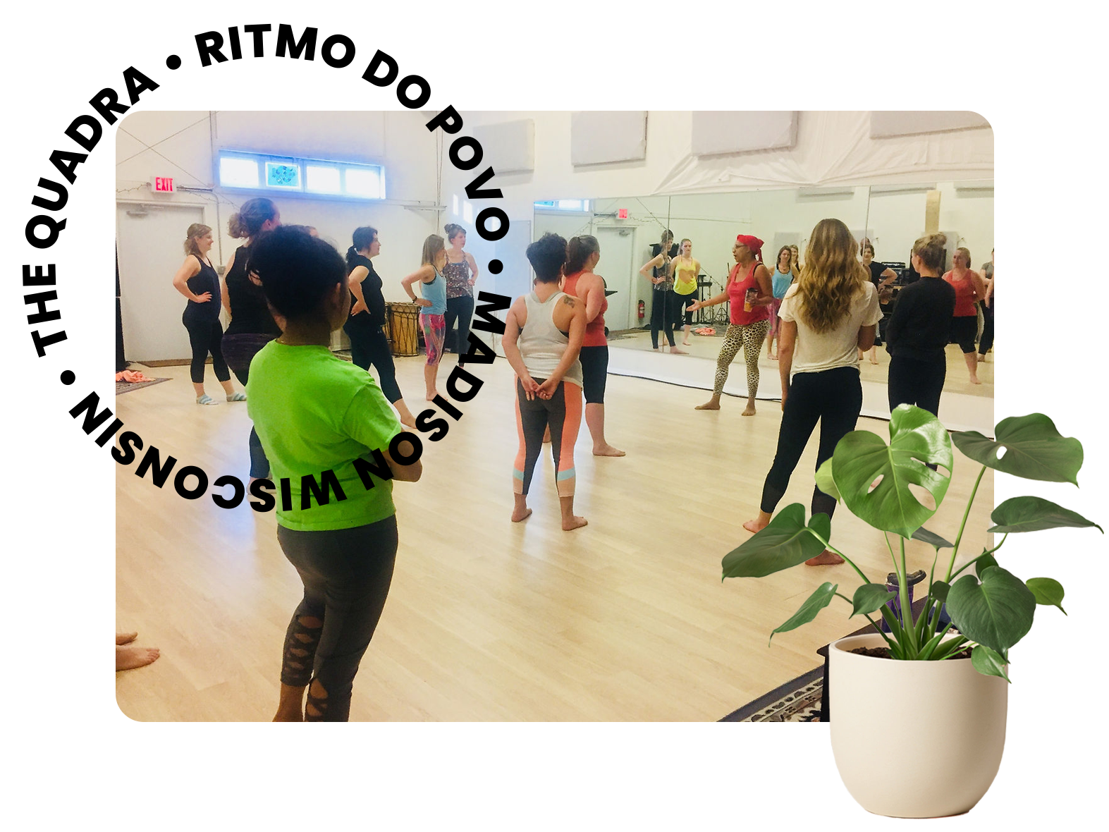 About the Studio - The Quadra - Madison